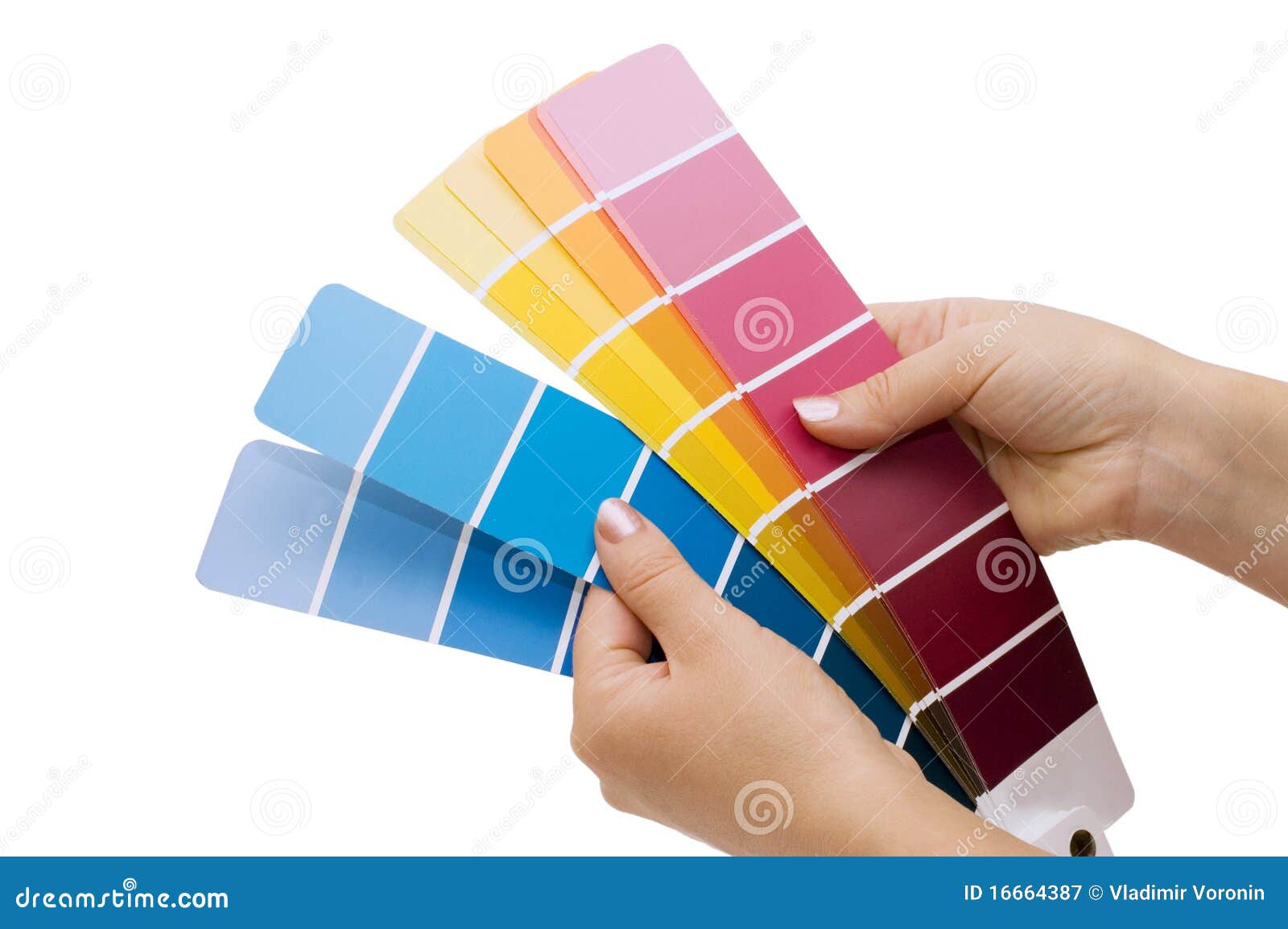 Woman Hand Pointing To a Sample Color Chart Stock Image - Image of ...