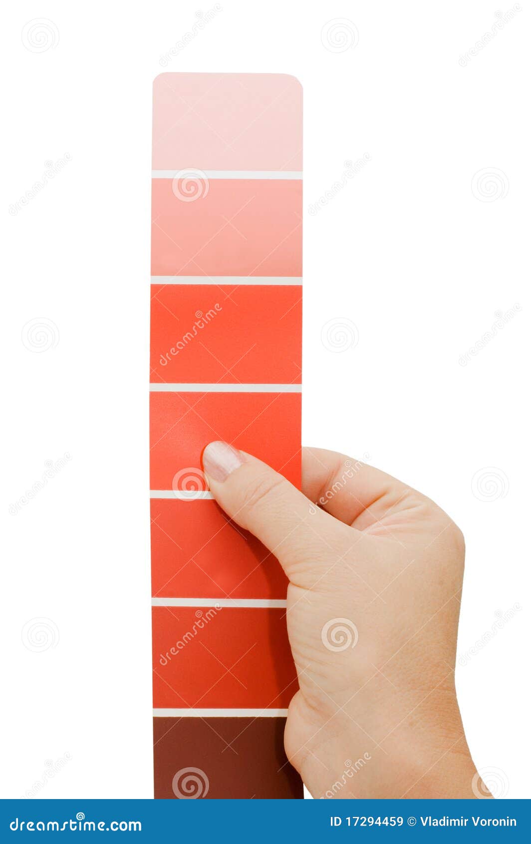 Woman Hand Pointing To A Sample Color Chart Royalty-Free Stock ...