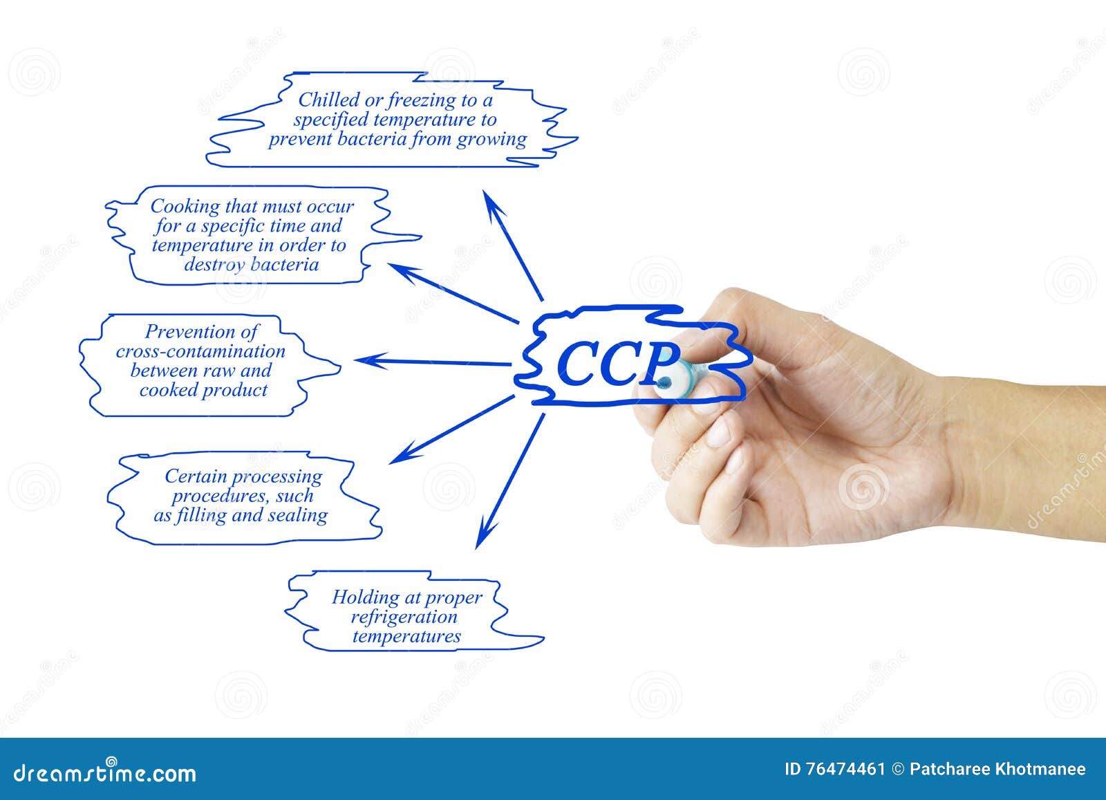 Woman Hand and Presentation of Critical Control Point (CCP) Conc Stock ...