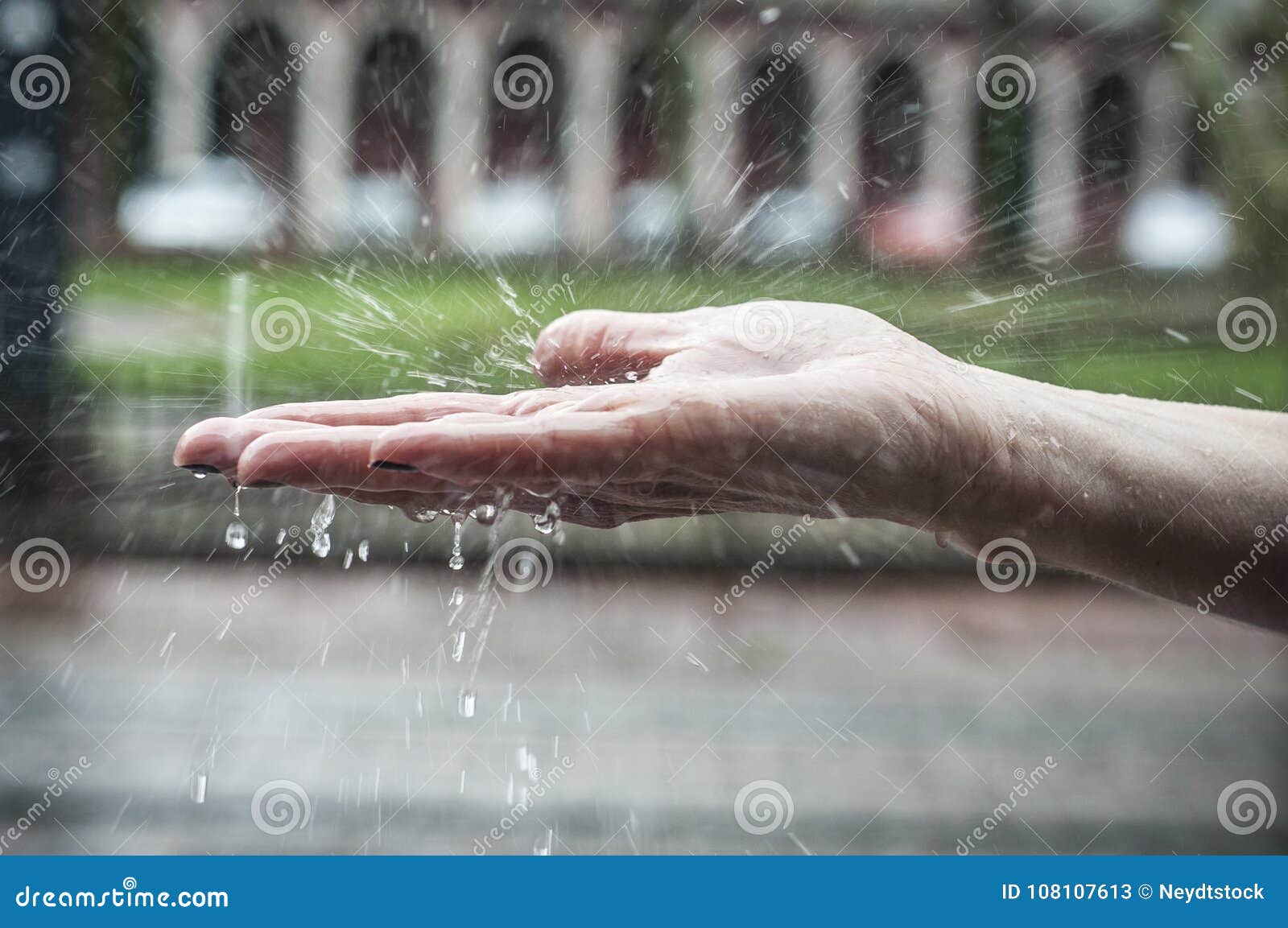 Woman hand in the rain stock image. Image of freshness - 108107613