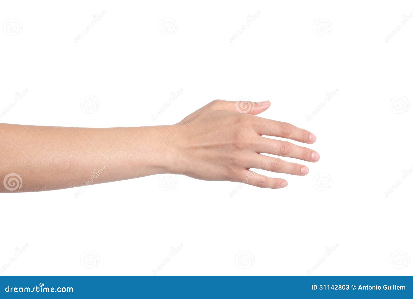 Woman Hand Ready for Handshaking Stock Image - Image of hands, girl ...