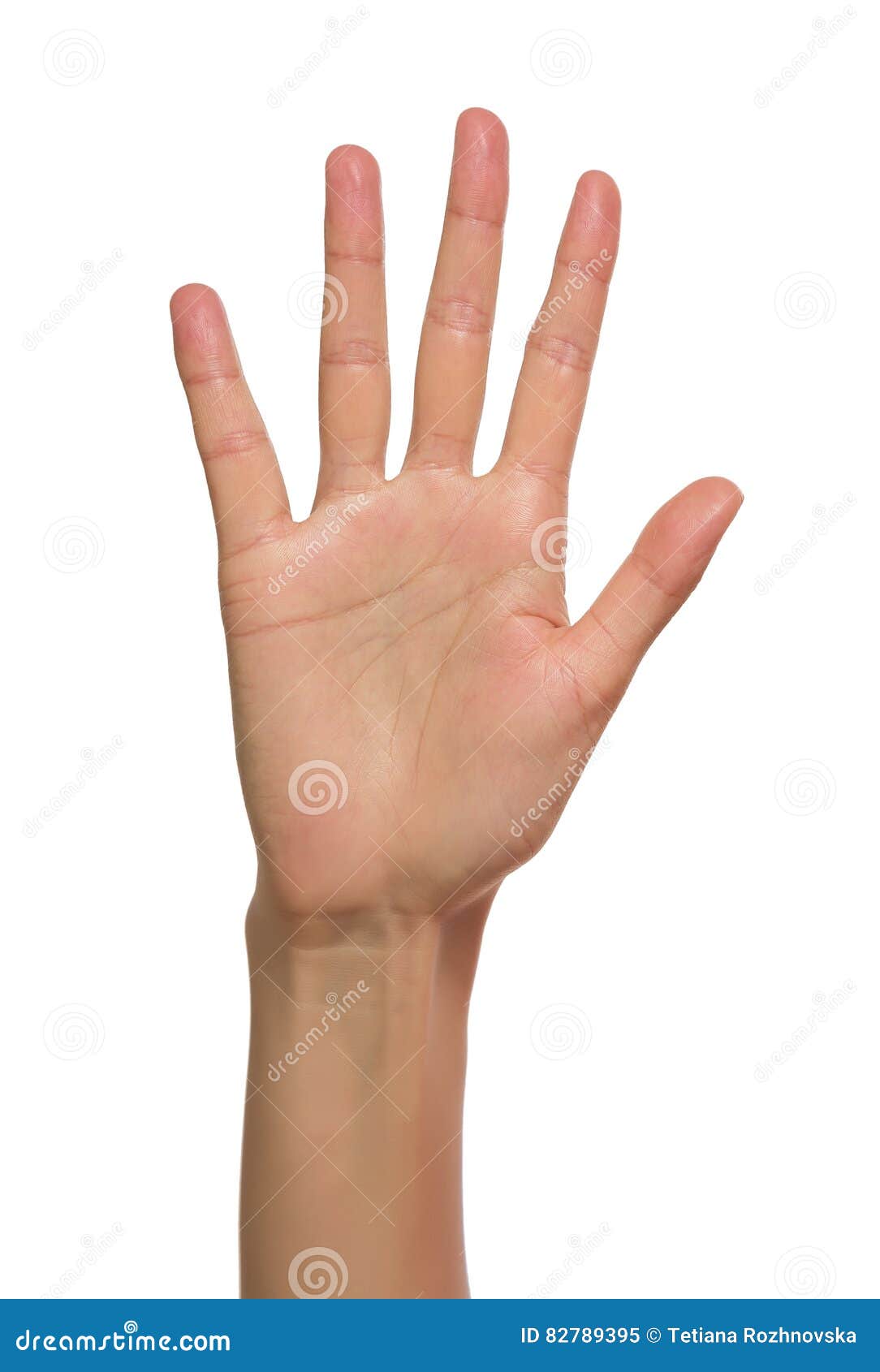 Woman Hand Showing Number Five. Stock Image - Image of five, body: 82789395