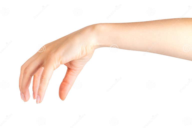 Woman Hand Showing Picking Up Pose Or Holding Something Stock Image