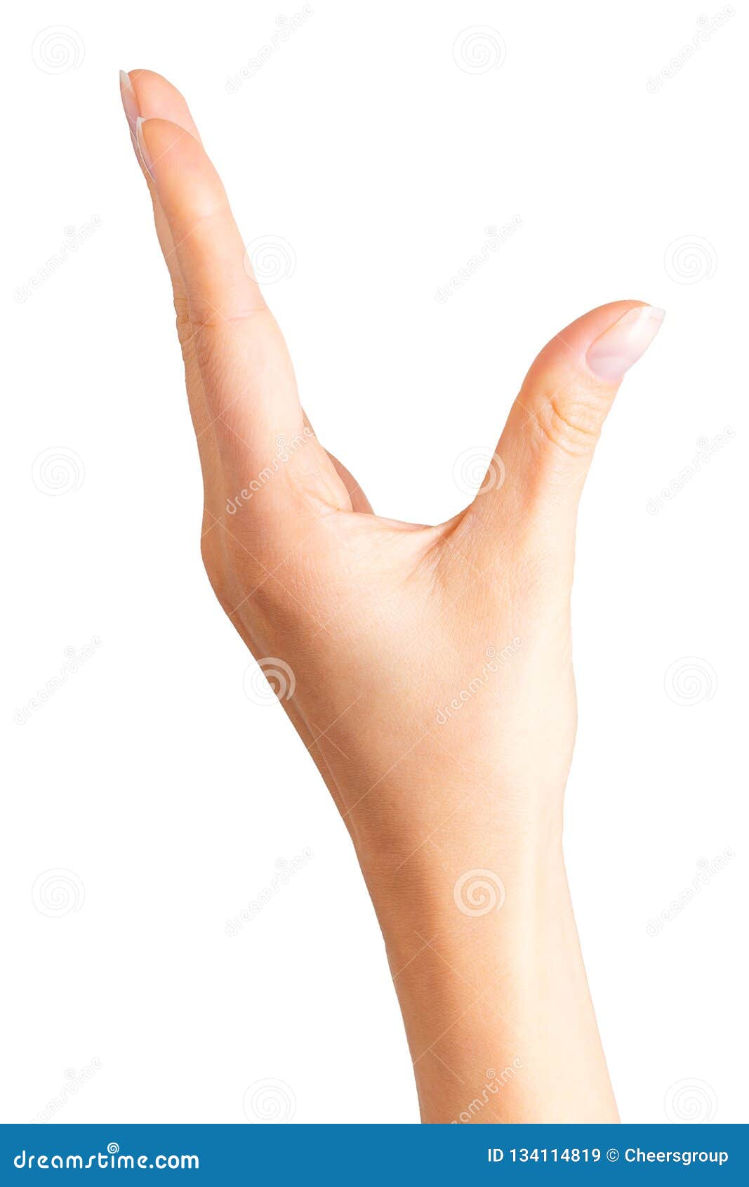 Woman Hand Showing Picking Up Pose Or Holding Stock Image Image Of Business Fist 134114819