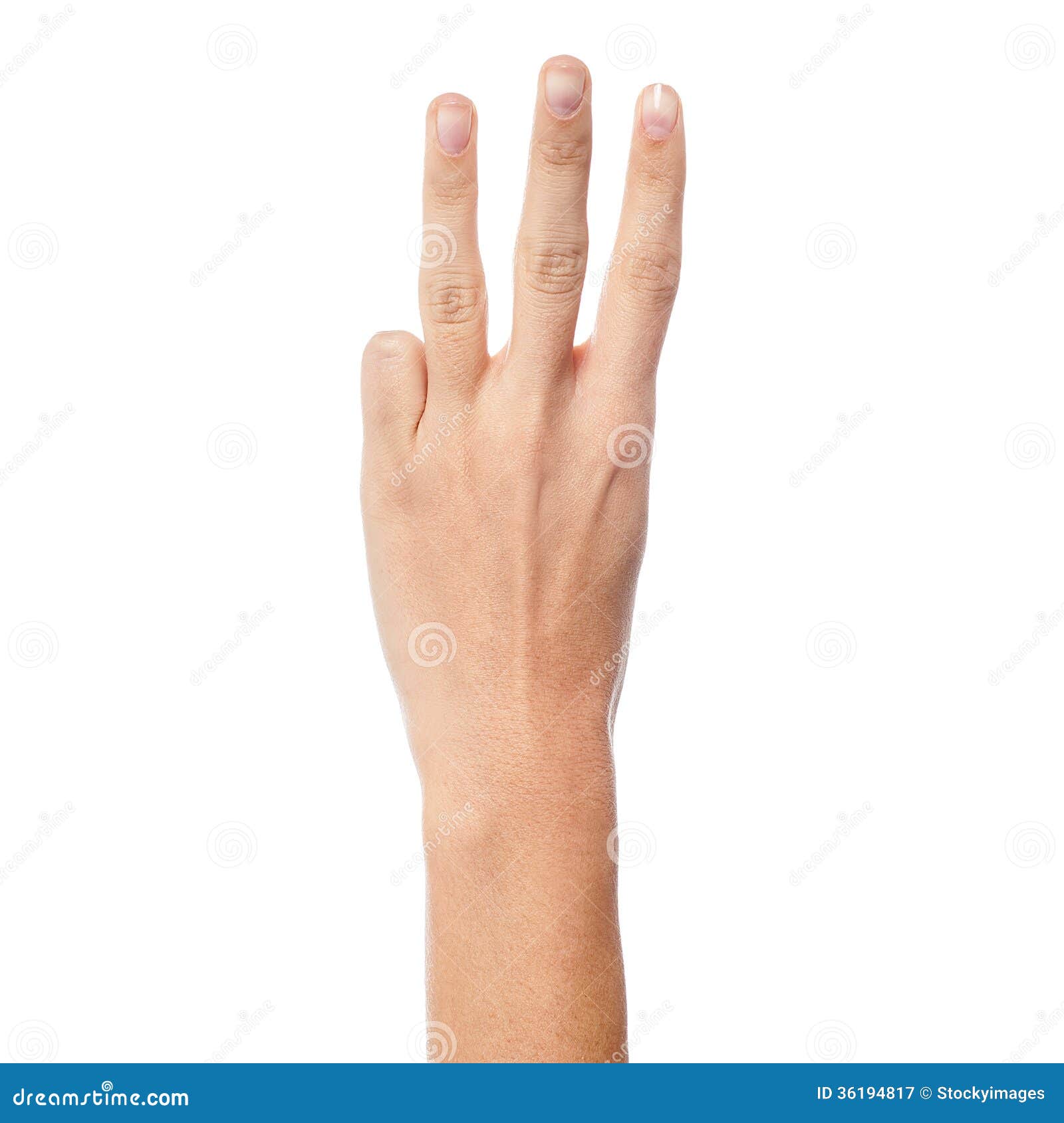 Woman Hand Showing Three Count Stock Image - Image of symbol, woman ...