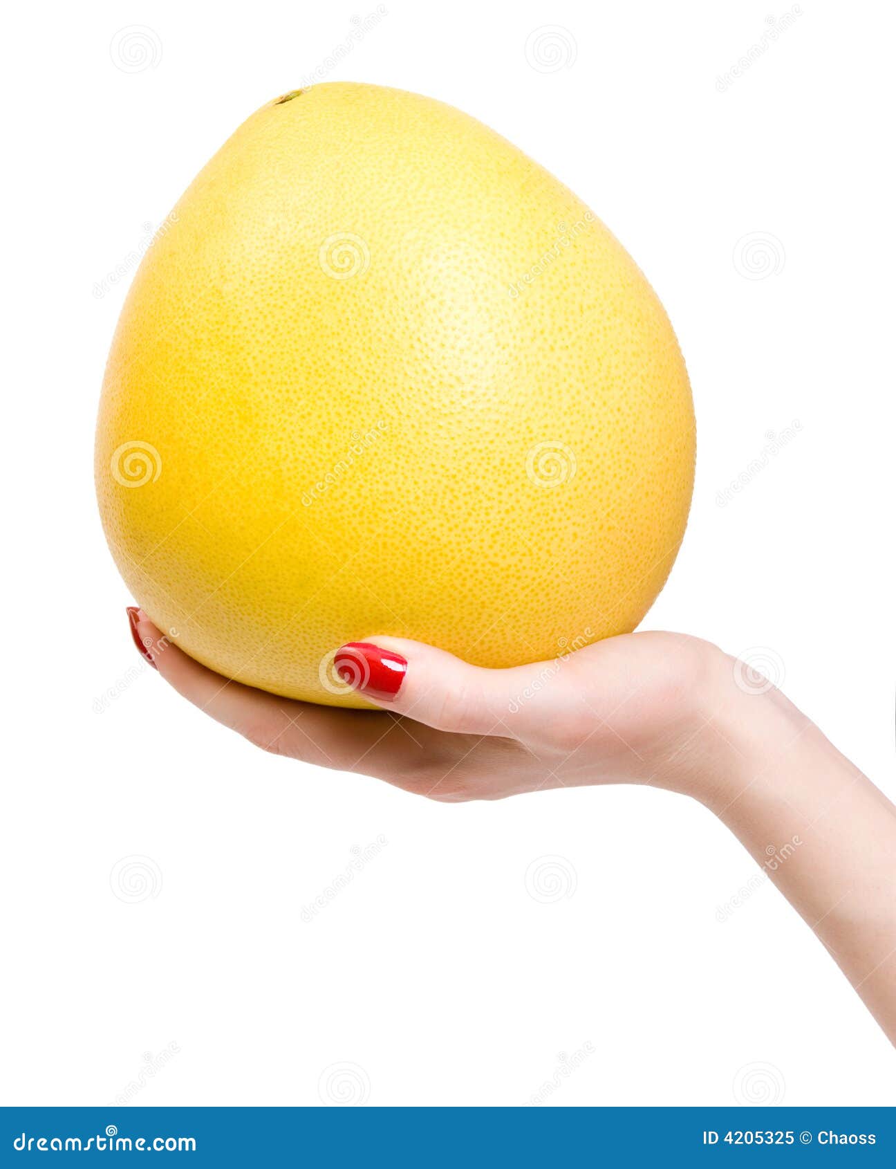 Woman Hand with Tropical Citrus Fruit Stock Image - Image of meal, hand ...