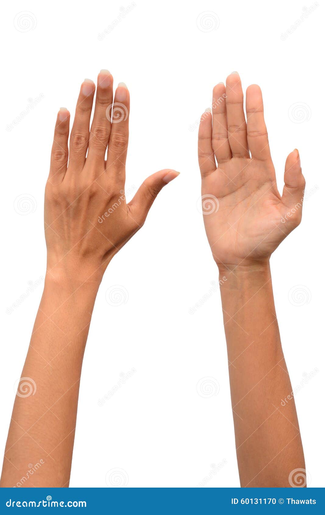 Woman hand stock photo. Image of finger, carrying, palm - 60131170