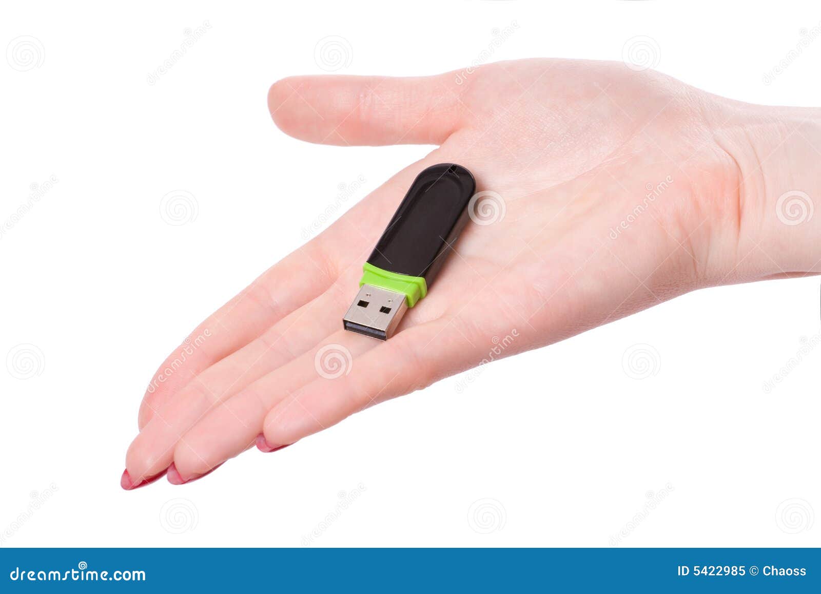 Woman Hand with Usb Flash Memory Stock Image - Image of hand, feminine ...