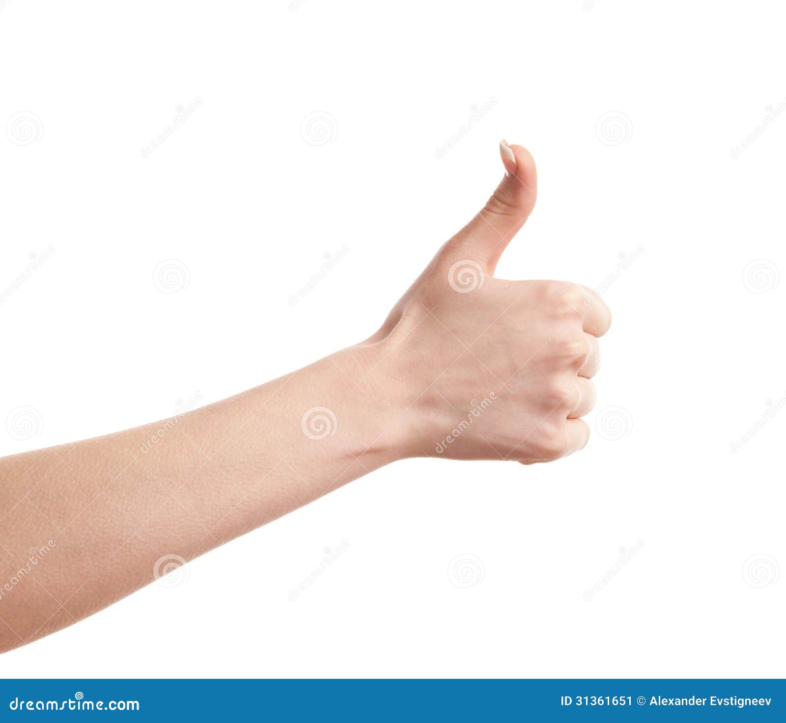 Woman Hand on White Background Stock Image - Image of girl, help: 31361651