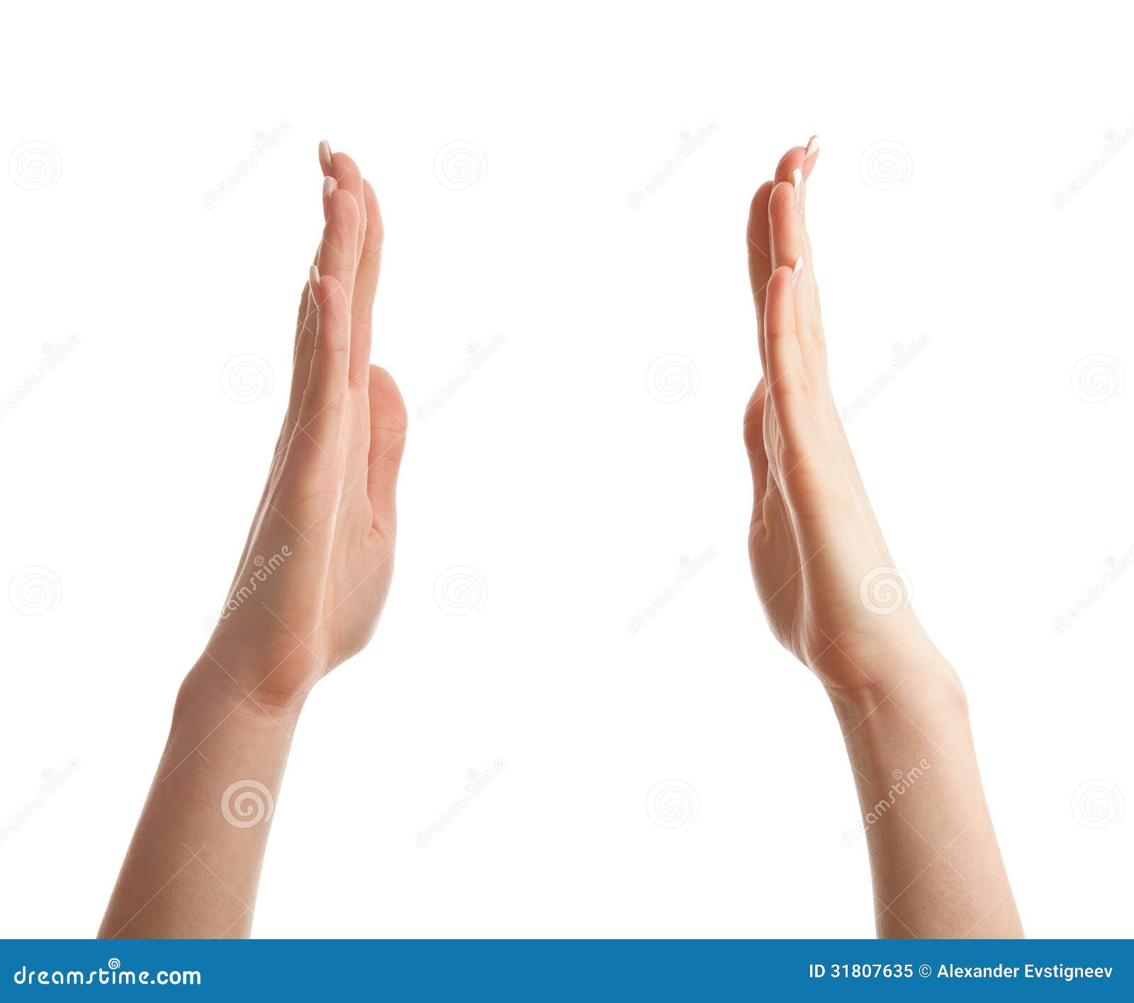 Woman Hand on White Background Stock Image - Image of conceptual ...