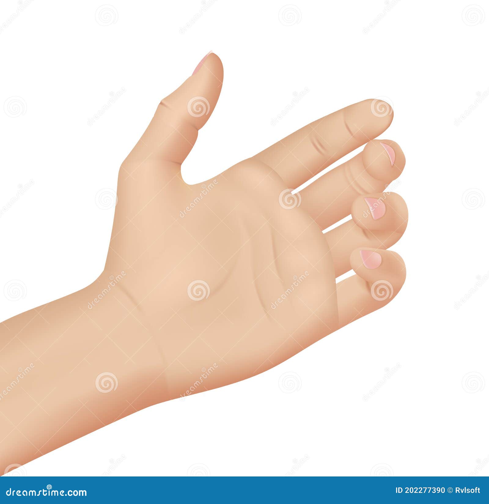 Woman Hand on White Background, Realistic Vector Illustration Stock ...