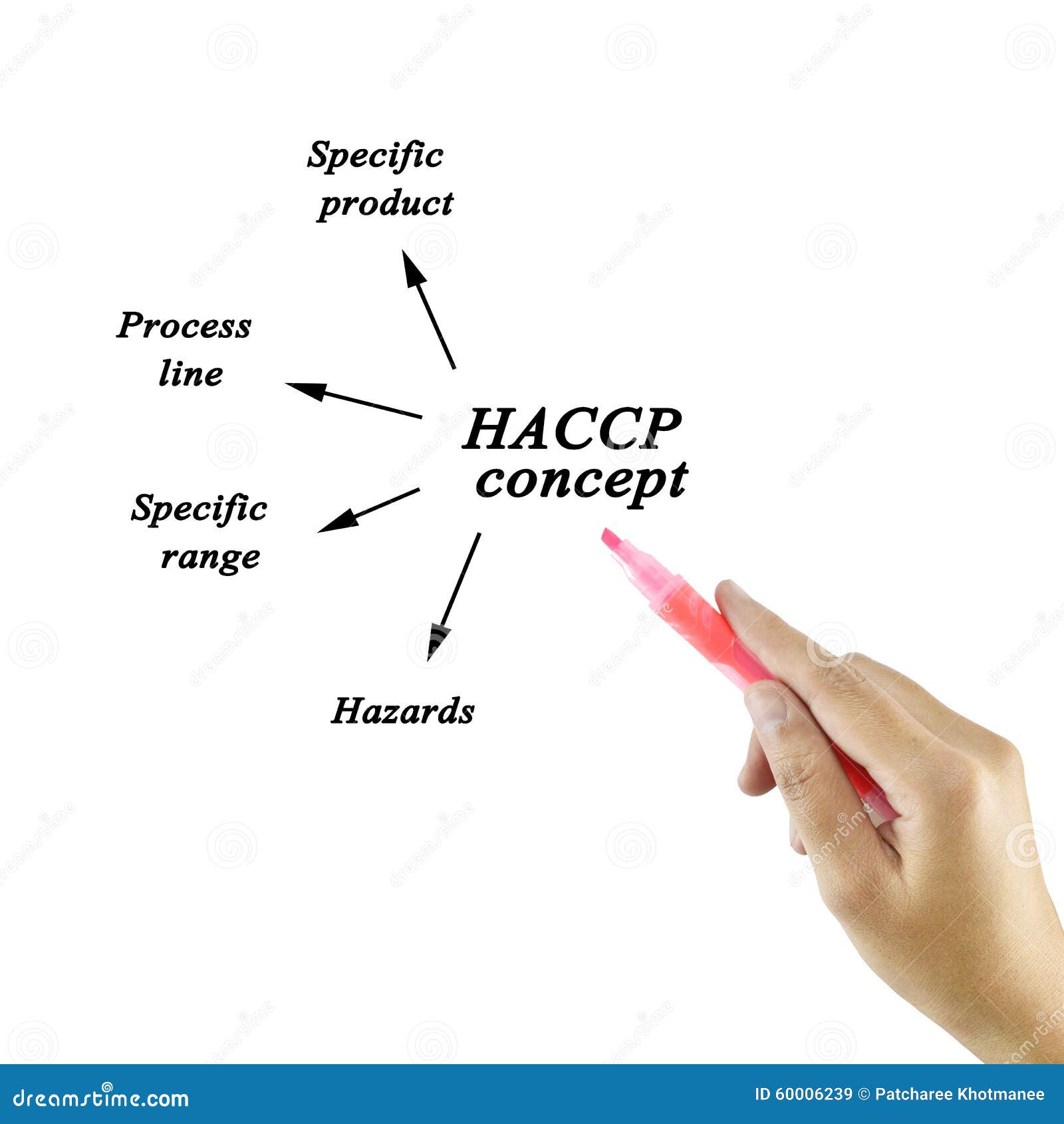 Woman Hand Writing HACCP Concept on Withe Background for Use in ...