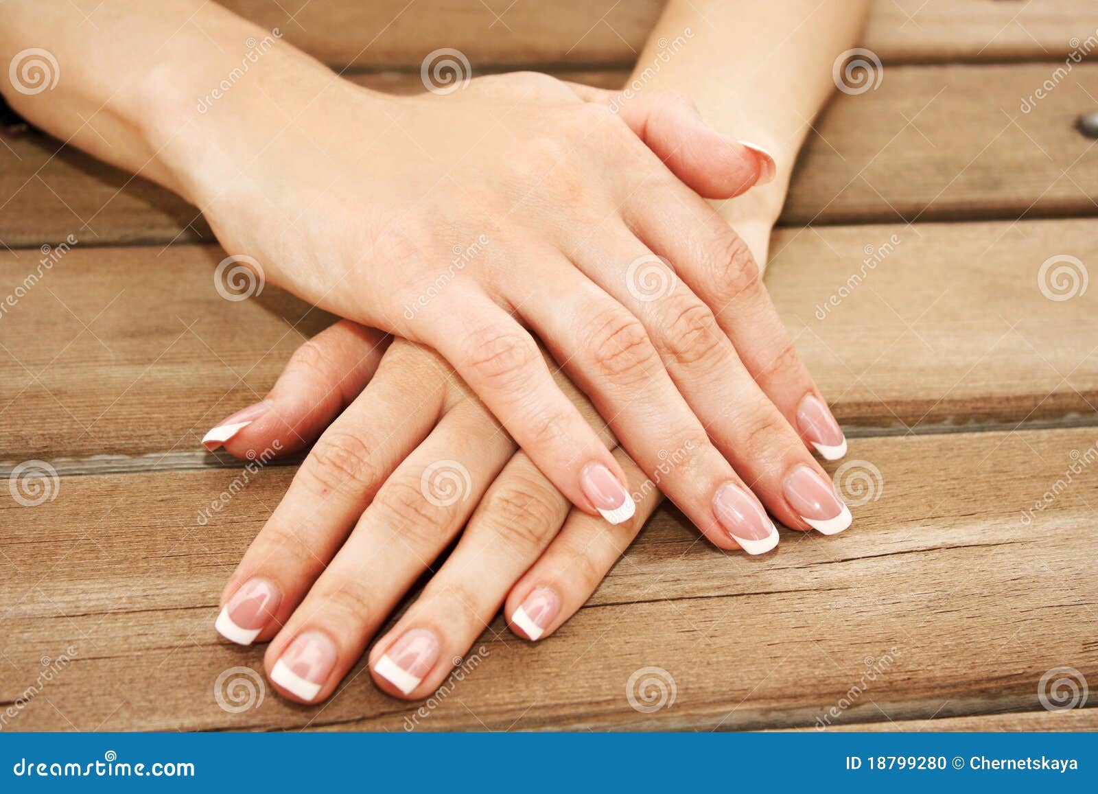 Woman hands stock photo. Image of health, female, petals - 18799280