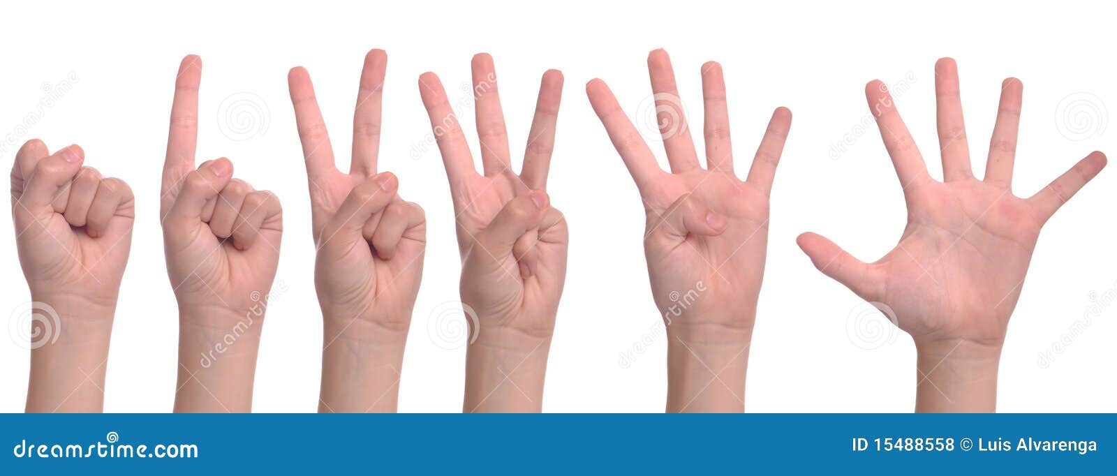 Woman hands counting stock photo. Image of symbol, sign - 15488558