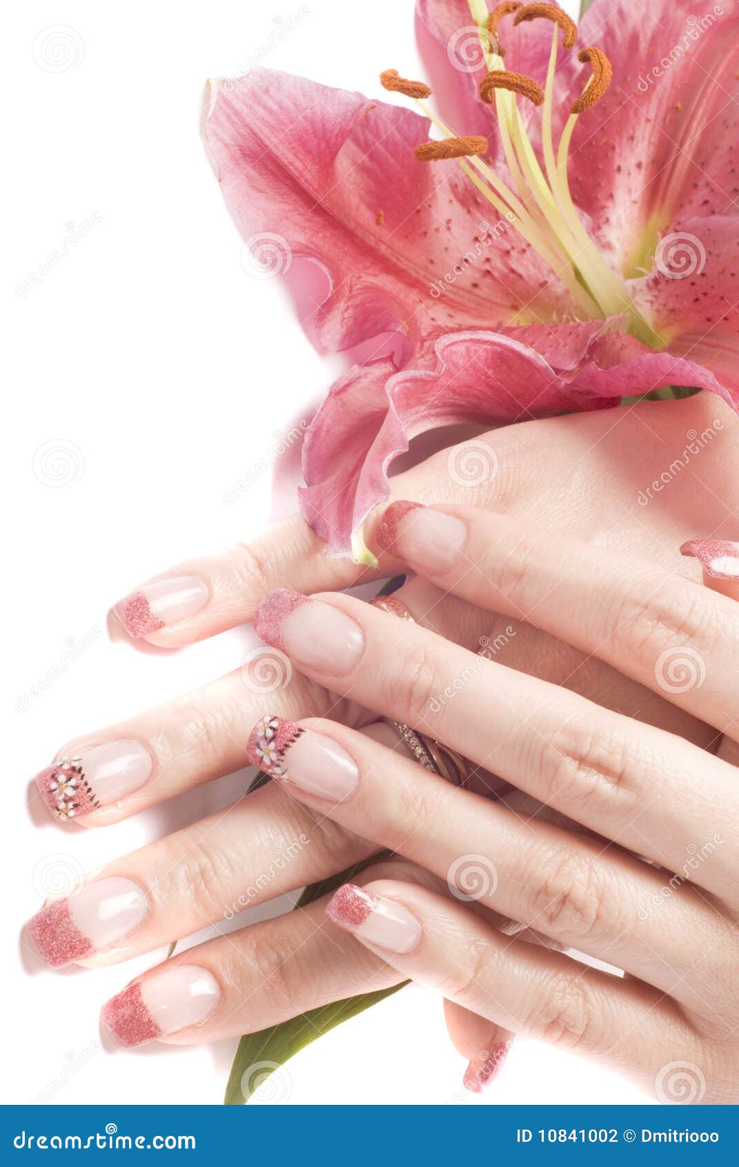 Woman hands and flower stock photo. Image of lily, comfortable - 10841002