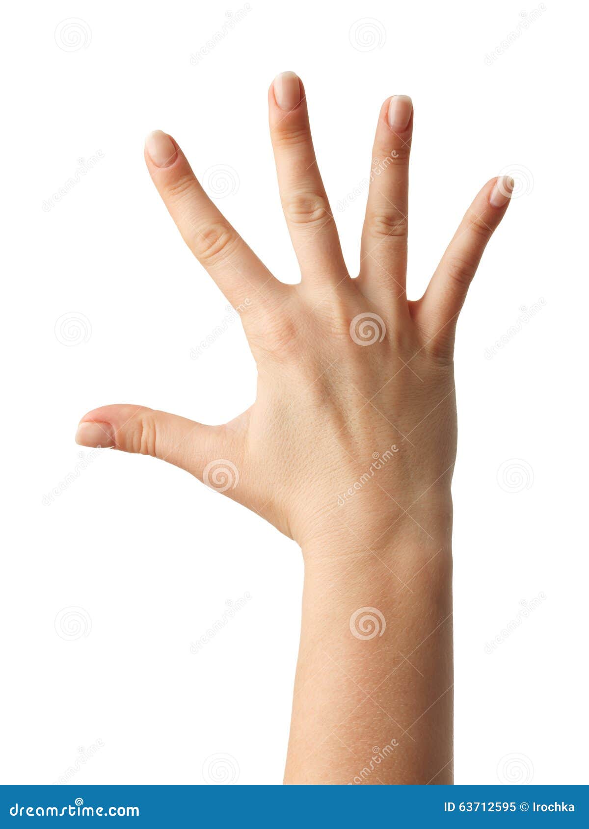 Two Hands Gestures Royalty-Free Stock Photo | CartoonDealer.com #124386027