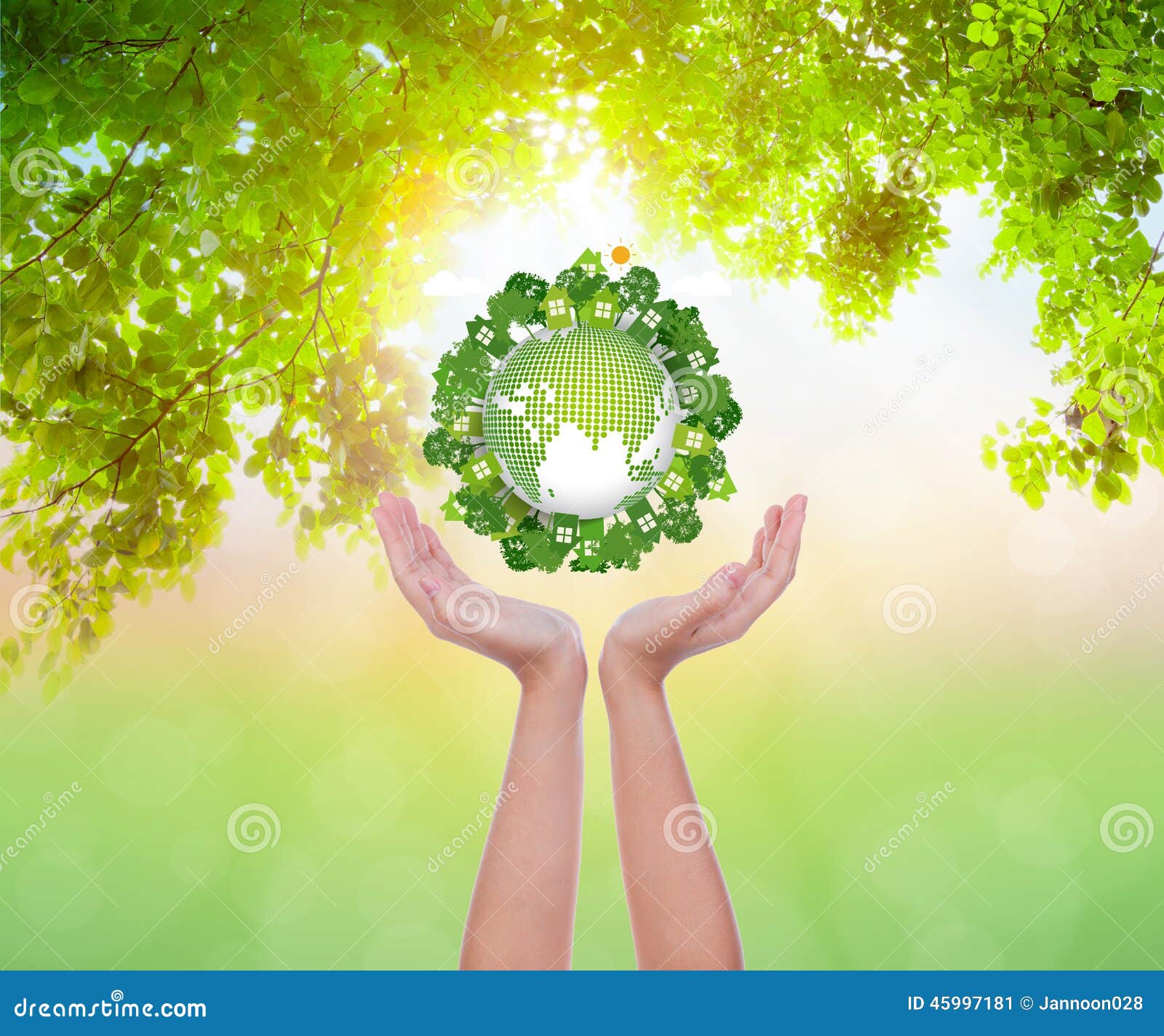 Woman Hands Hold Eco Friendly Stock Image - Image of environment, earth ...