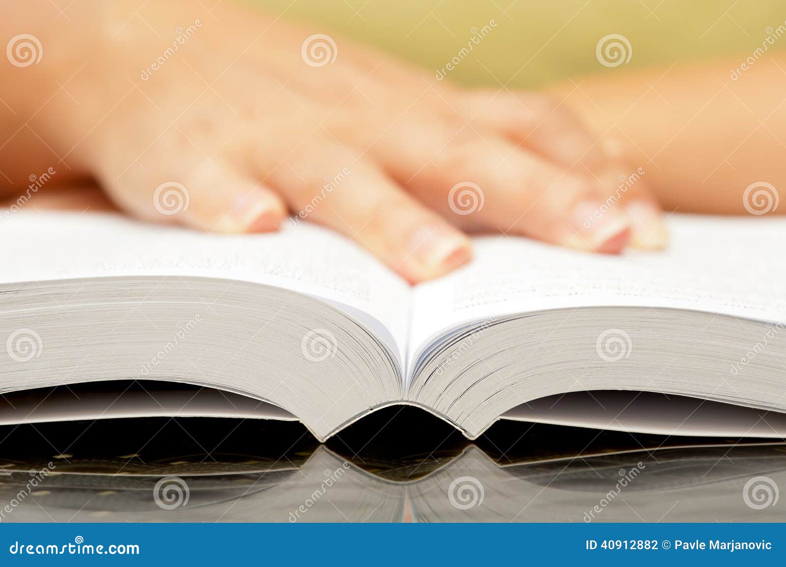 Woman Hands Holding Open Book Stock Photo - Image of learning, library ...