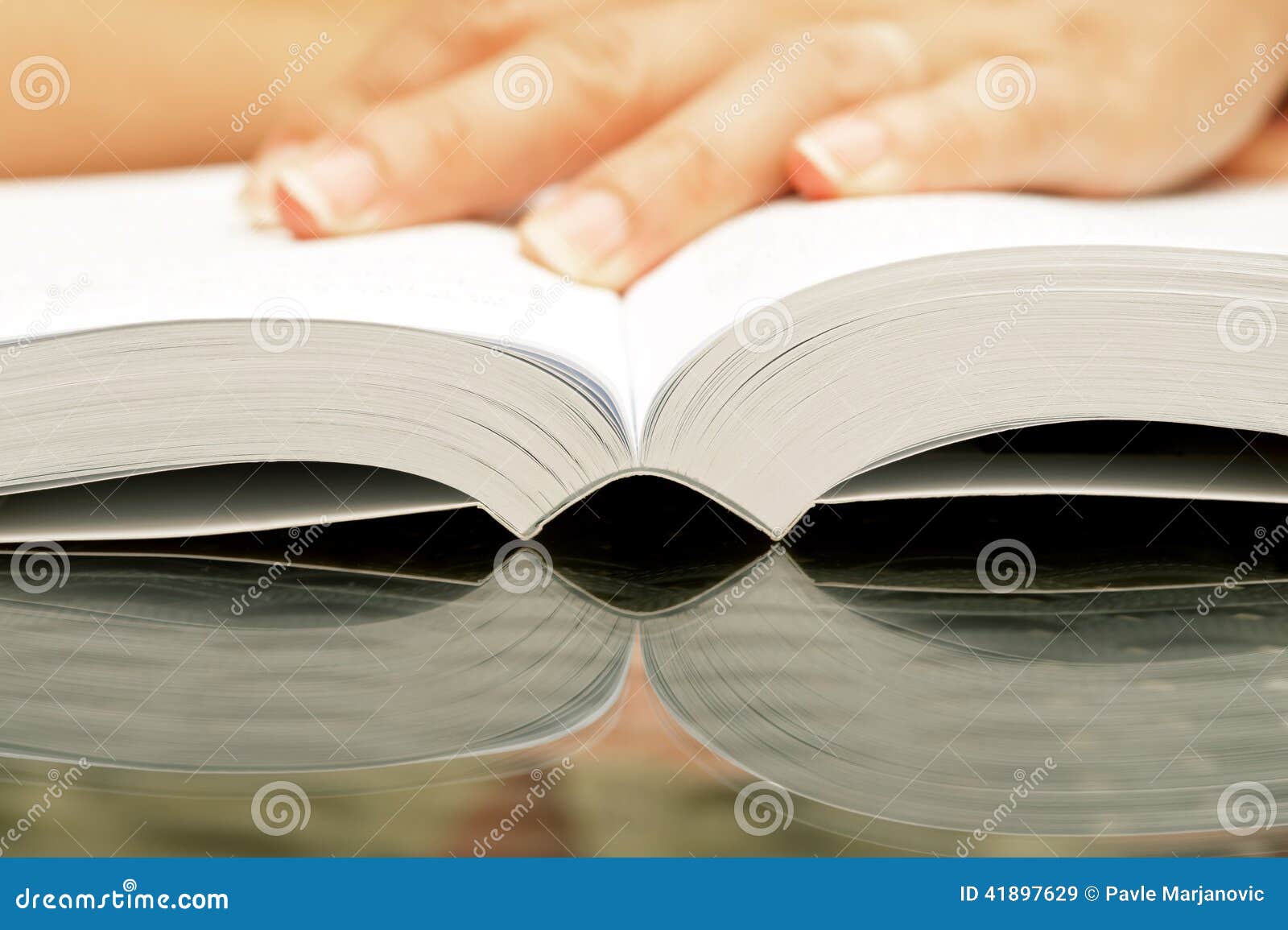 Woman Hands Holding Open Book Stock Image - Image of education, pages ...