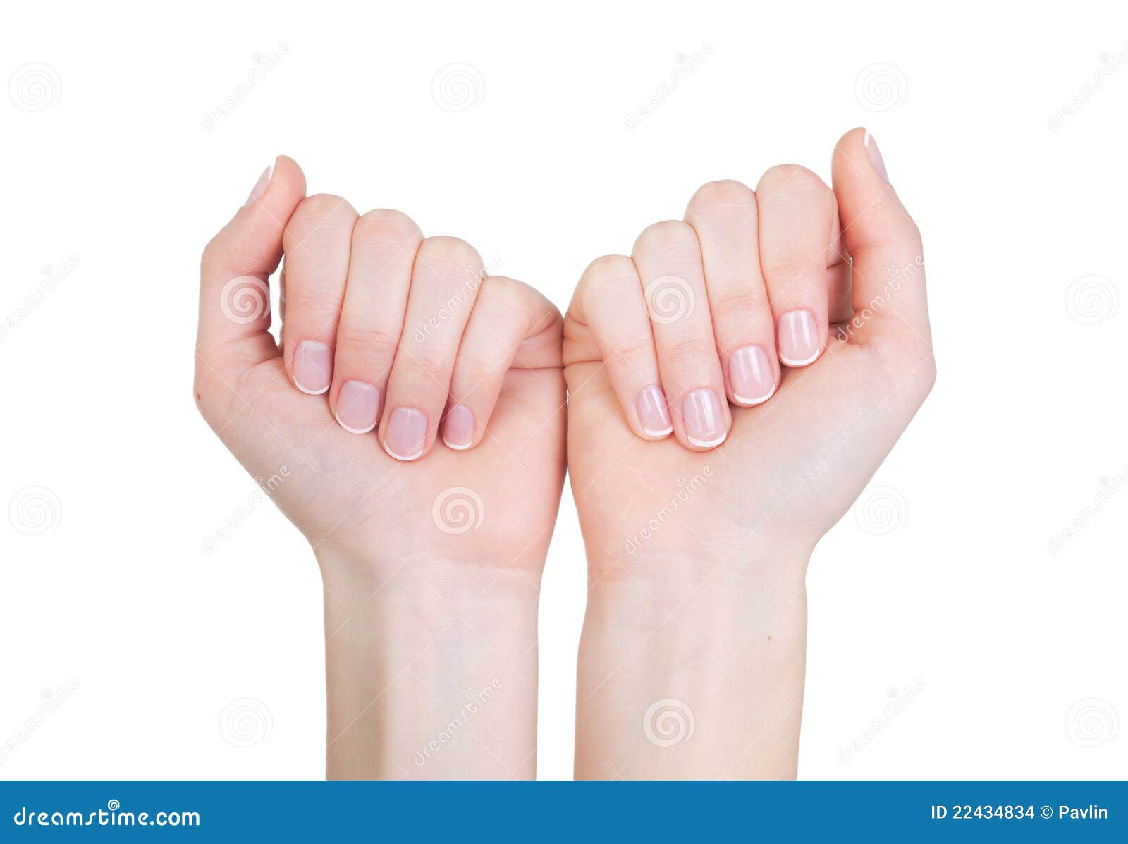 Woman hands isolated stock photo. Image of female, showing - 22434834