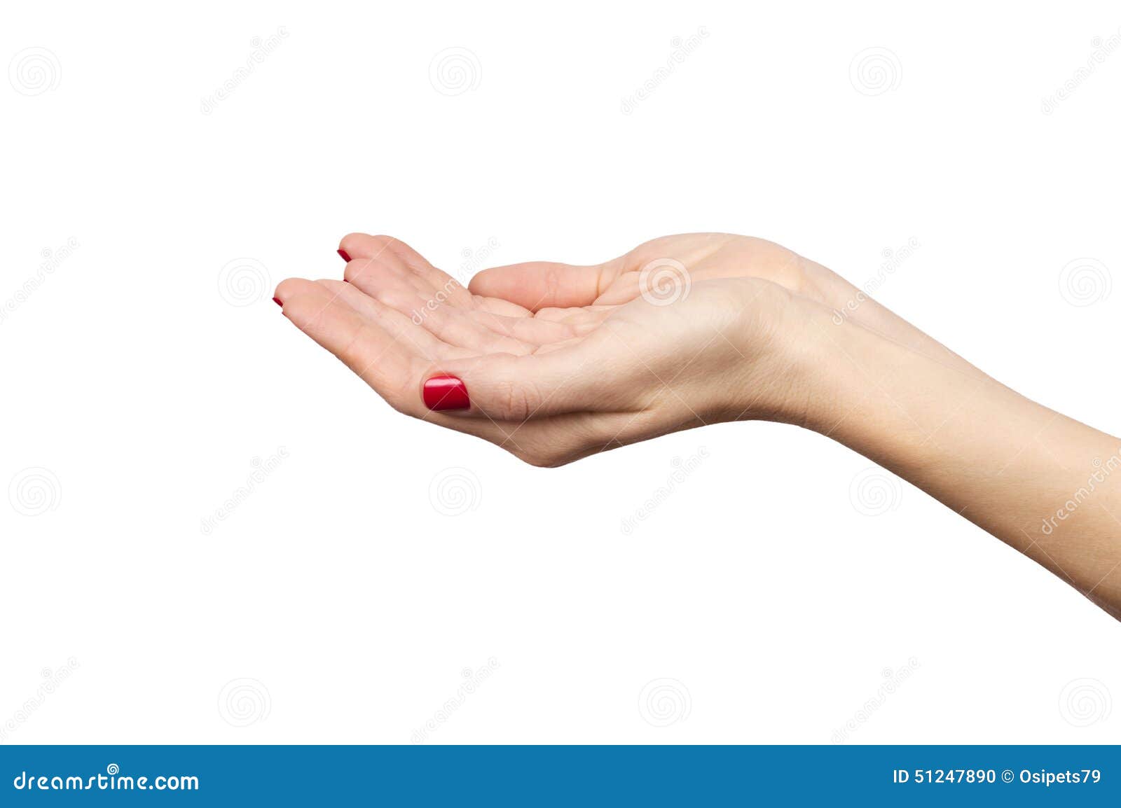 Woman hands palm up stock photo. Image of body, close - 51247890