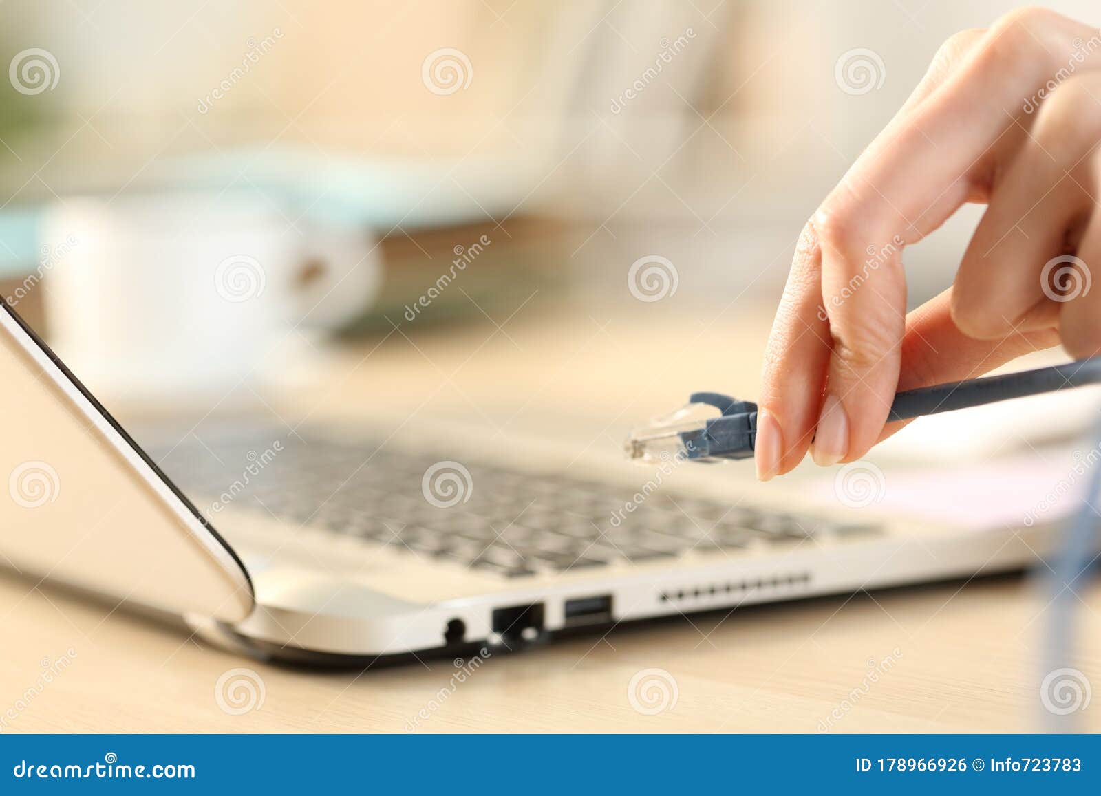 Woman Hands Plugging Ethernet Cable on Laptop Stock Photo - Image of ...