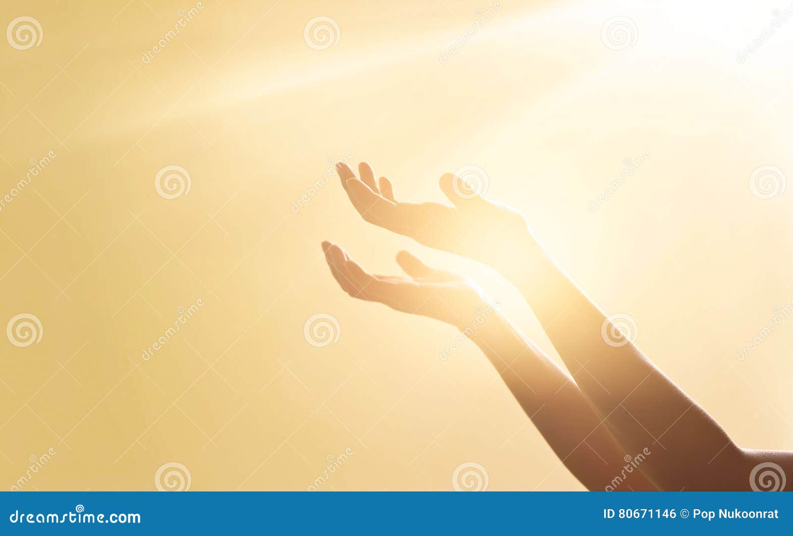 181 Woman Hands Praying Blessing Sunset Background Photos - Free ...