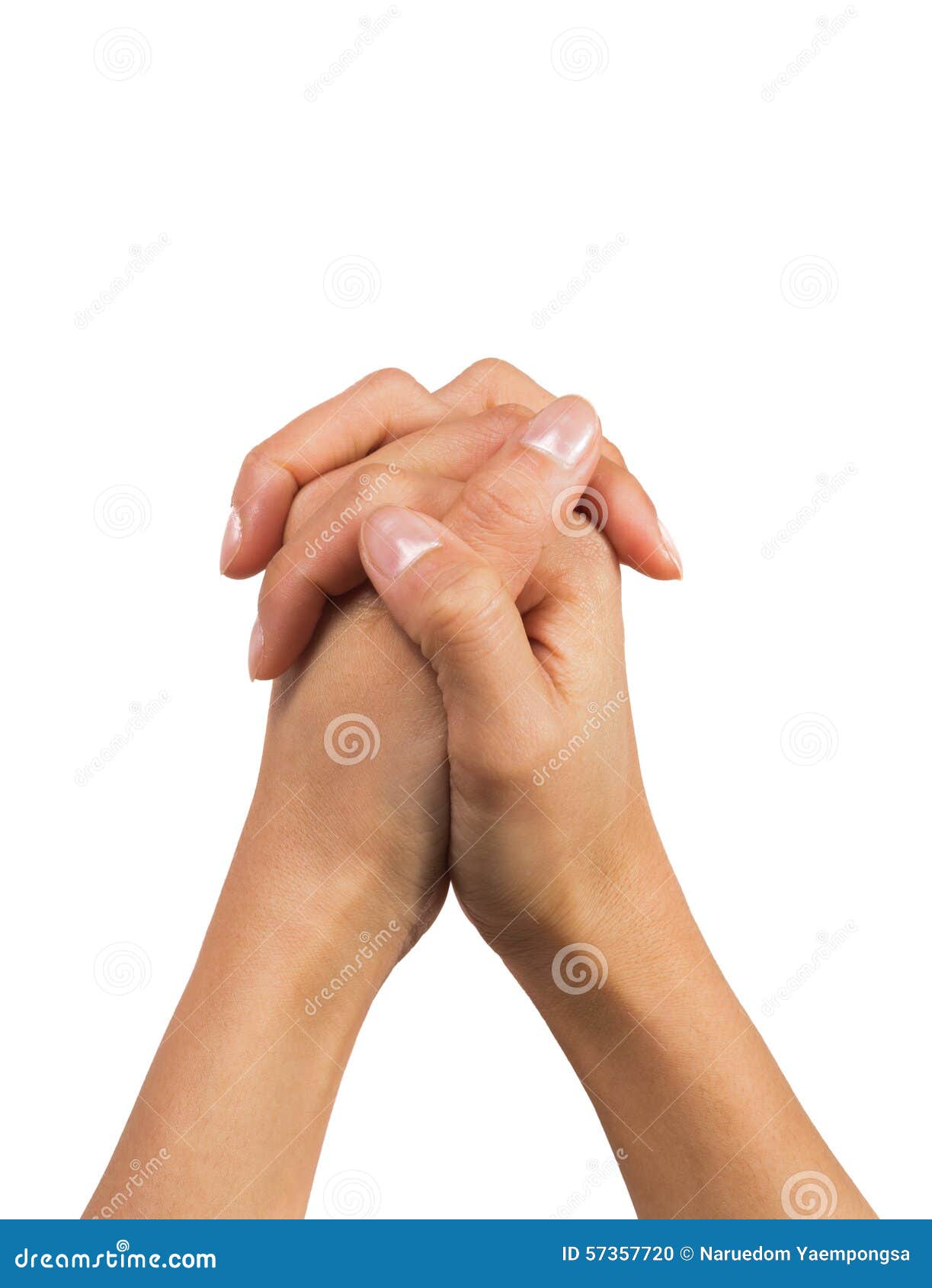 Woman hands praying stock photo. Image of comfort, forgiveness - 57357720