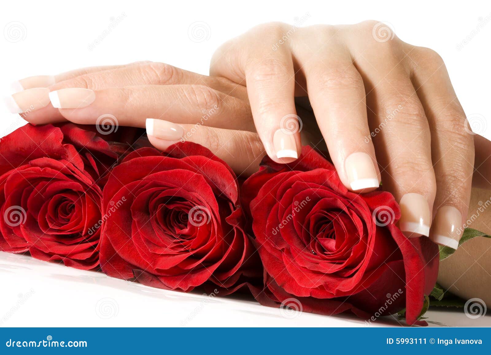 Woman hands with red roses stock image. Image of petal - 5993111
