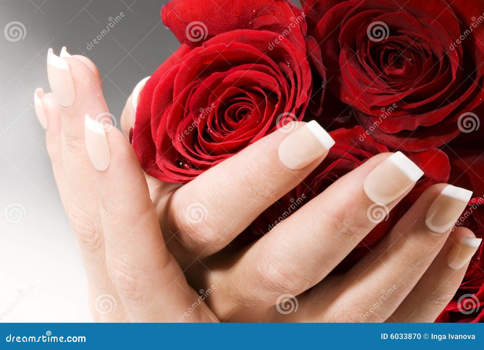 Woman hands with red roses stock photo. Image of holiday - 6033870