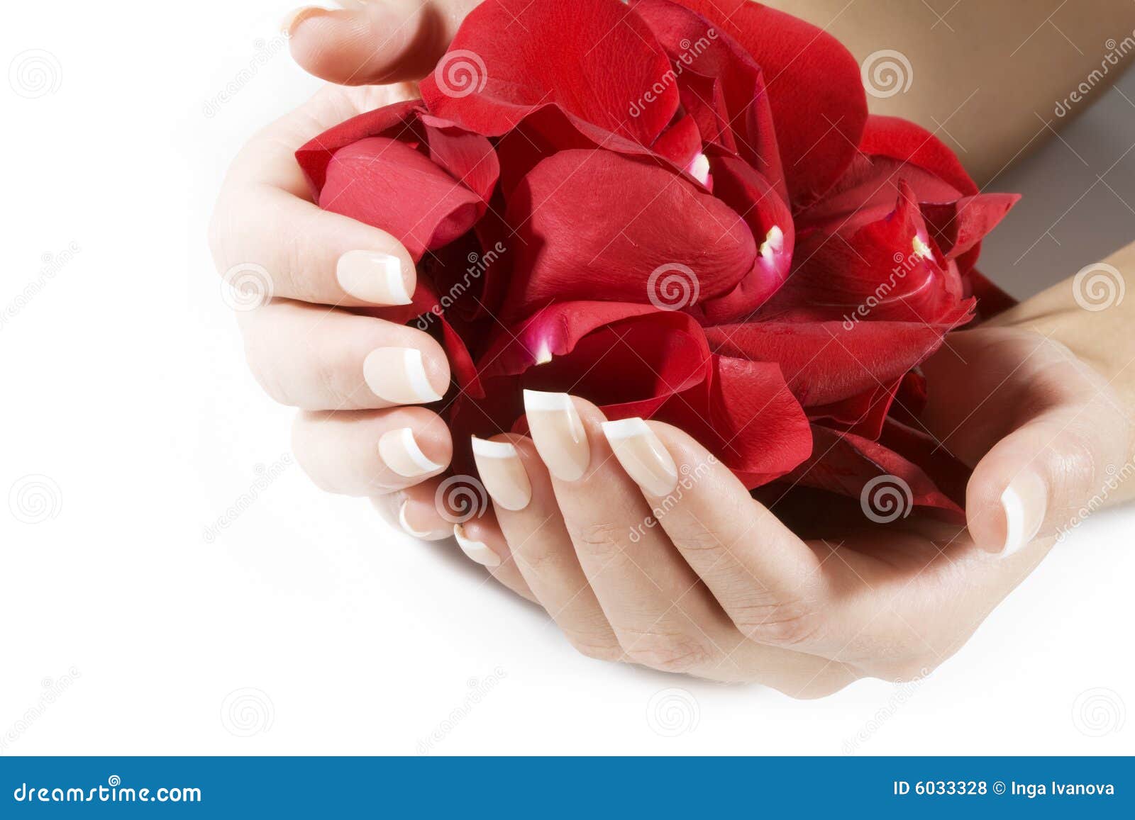 Woman Hands with Rose Petals Stock Photo - Image of girl, fingers: 6033328