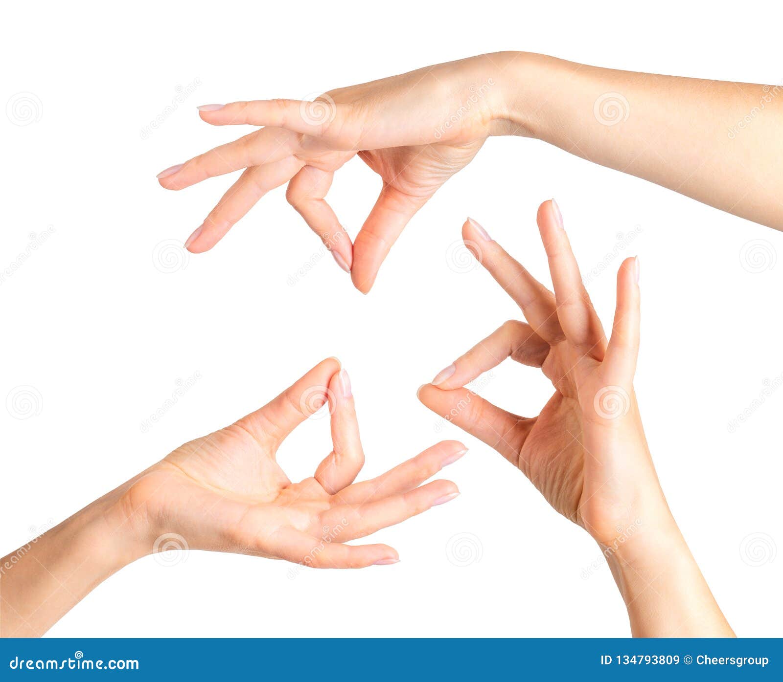 Woman Hands Showing Picking Up Pose Or Holding Stock Image Image Of Object Gesture 134793809