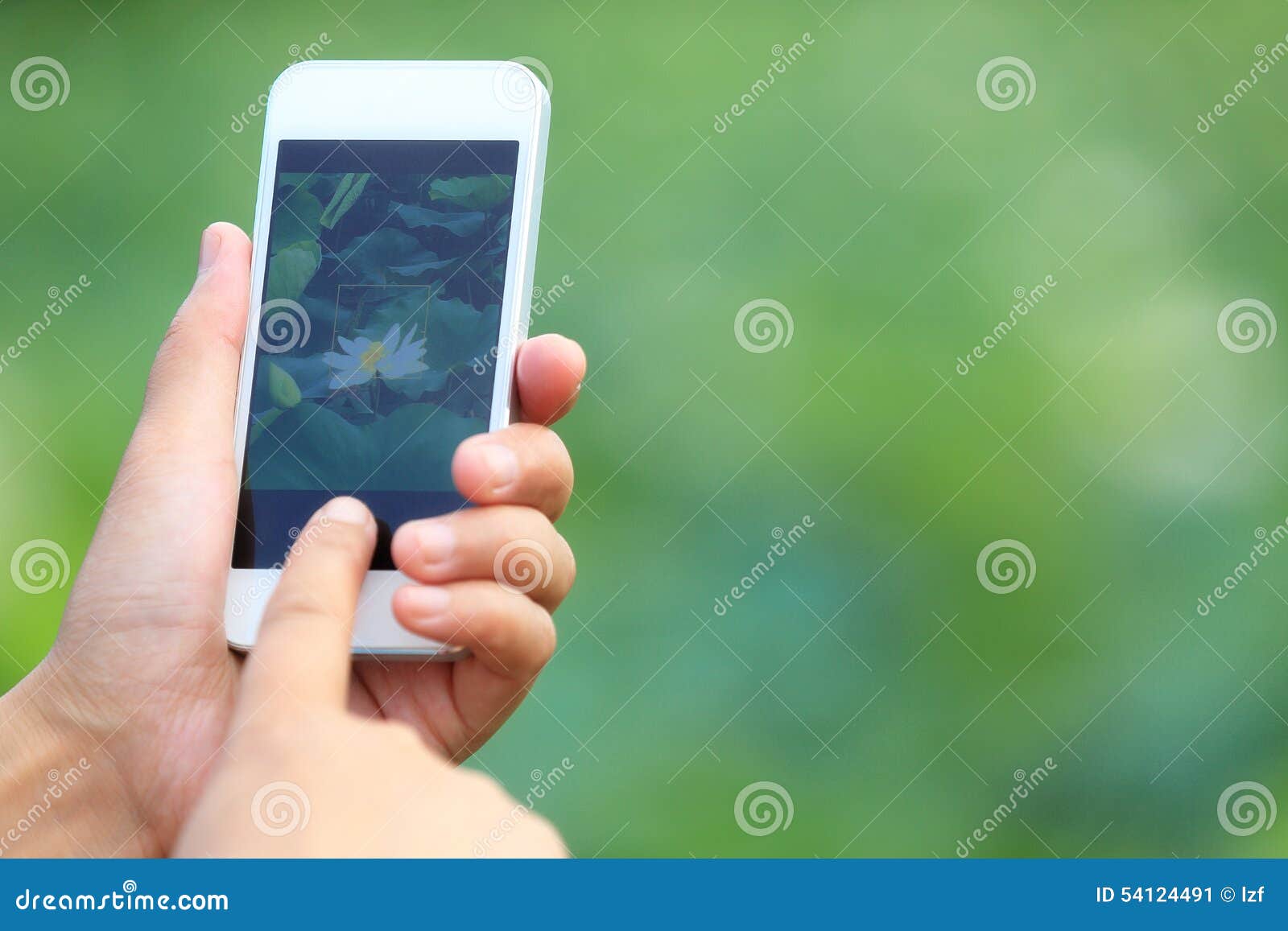 Woman Hands Taking Photo with Smart Phone Stock Image - Image of flower ...