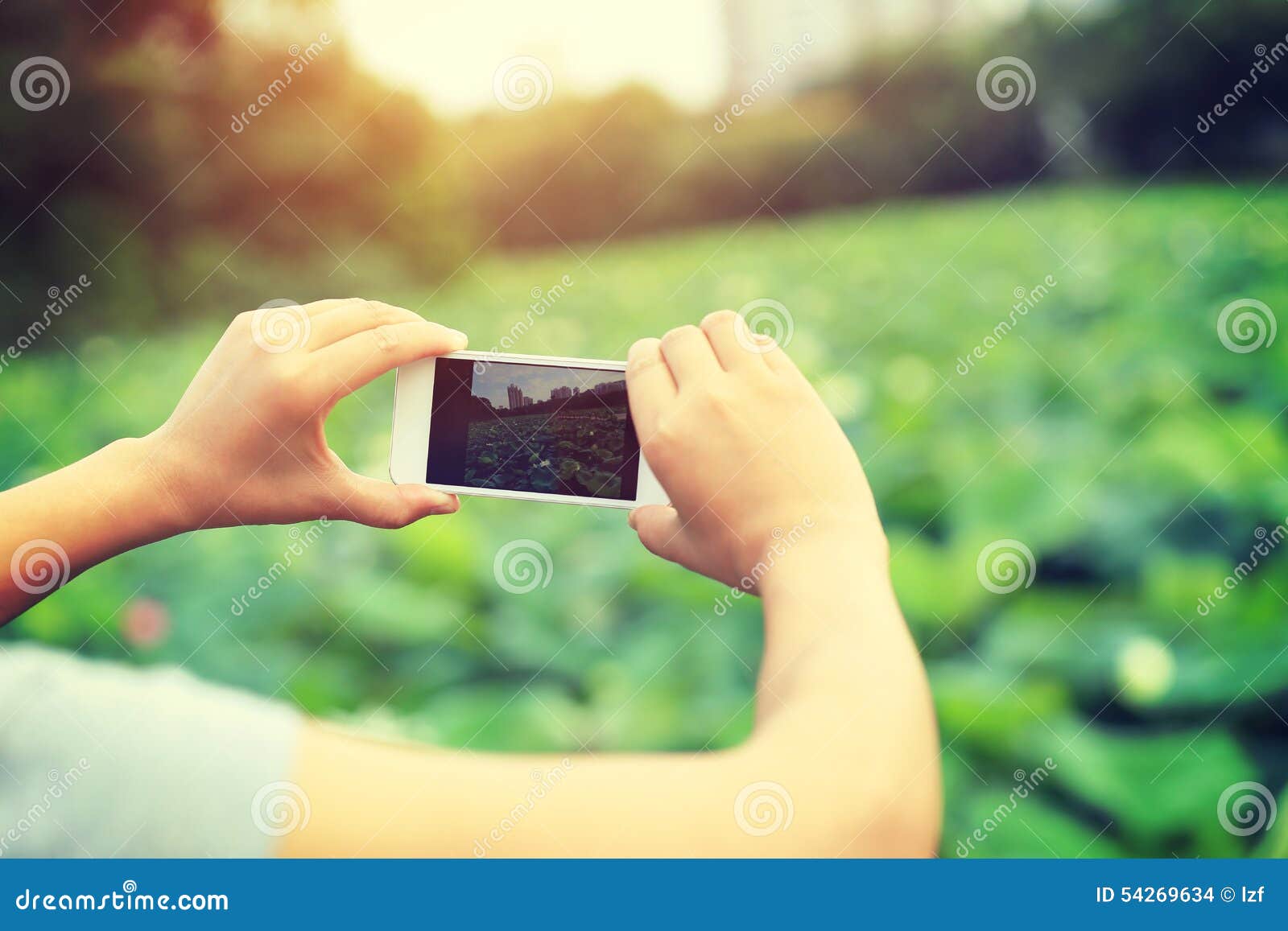 Woman Hands Taking Photo with Smart Phone Stock Photo - Image of asian ...