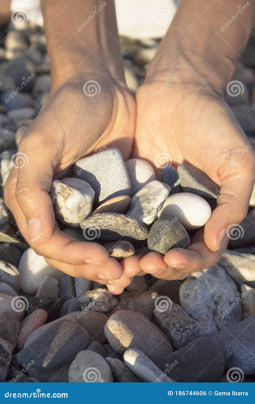Woman Hands Touching Stones on the Beach Stock Photo - Image of hand ...