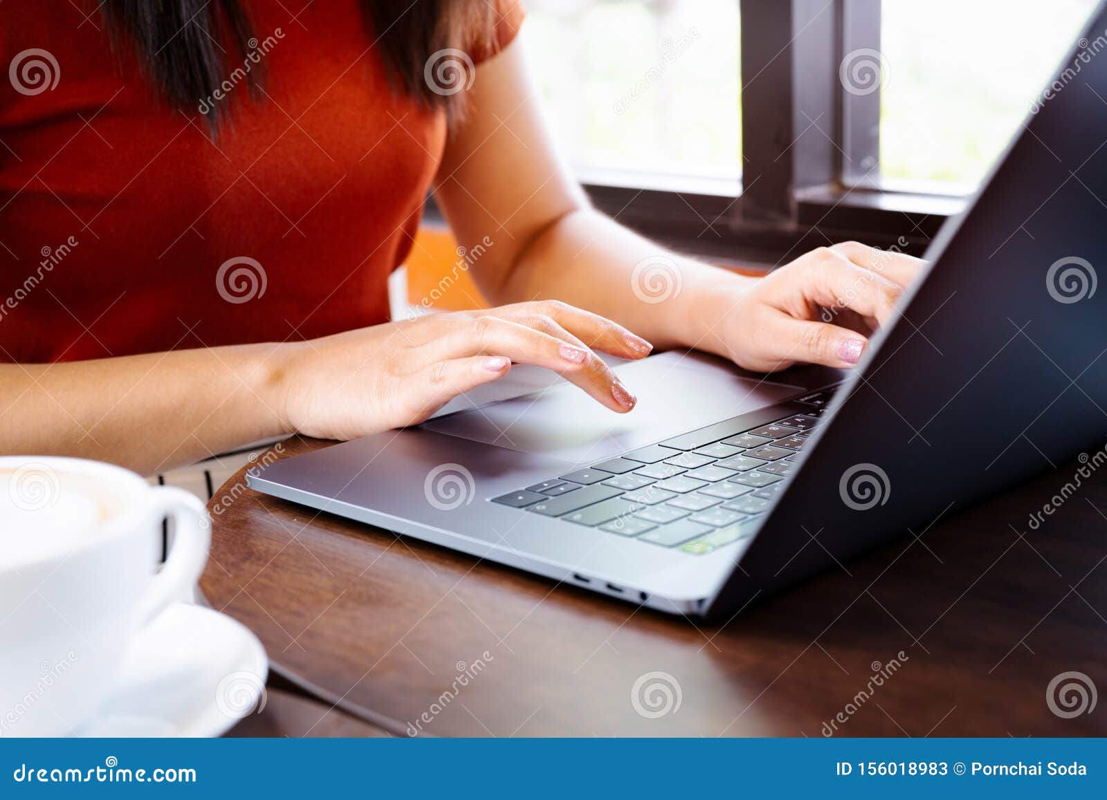 Woman Hands Typing on Laptop Keyboard. Woman Working at Office with ...