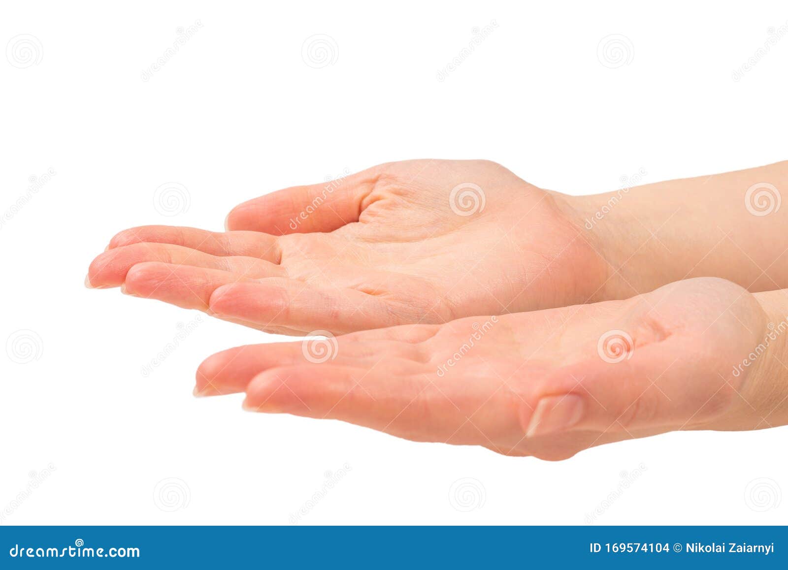 Woman Hands Wanting or Asking for Something Stock Photo - Image of hand ...