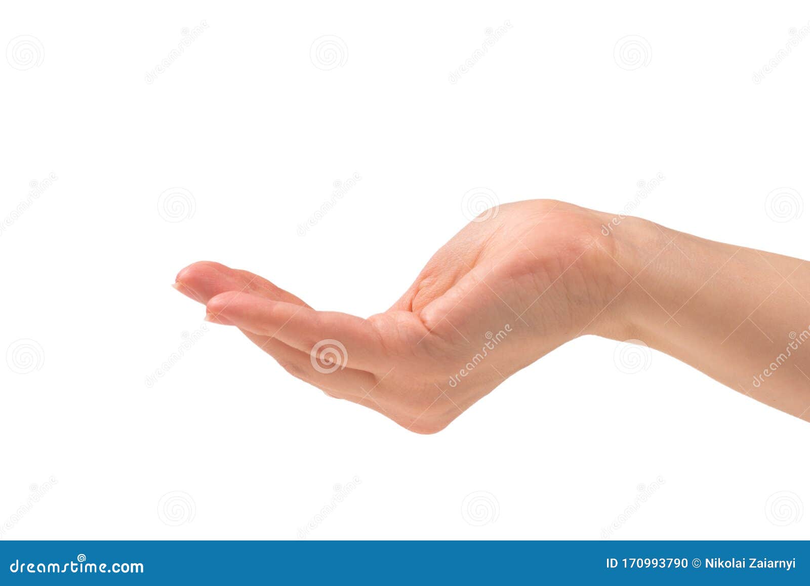 Woman Hands Wanting or Asking for Something Stock Photo - Image of ...