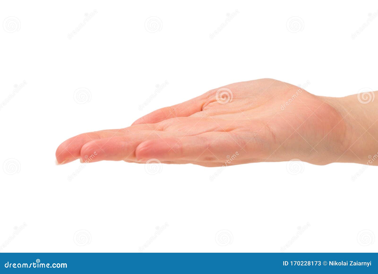 Woman Hands Wanting or Asking for Something Stock Image - Image of ...