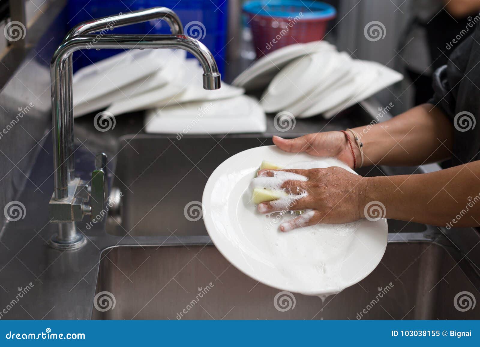 Woman Hands Washing White Plate in Kitchen Stock Image - Image of hand ...