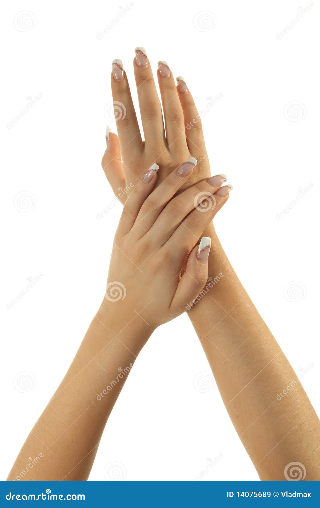 Woman hands on the white stock image. Image of glamour - 14075689
