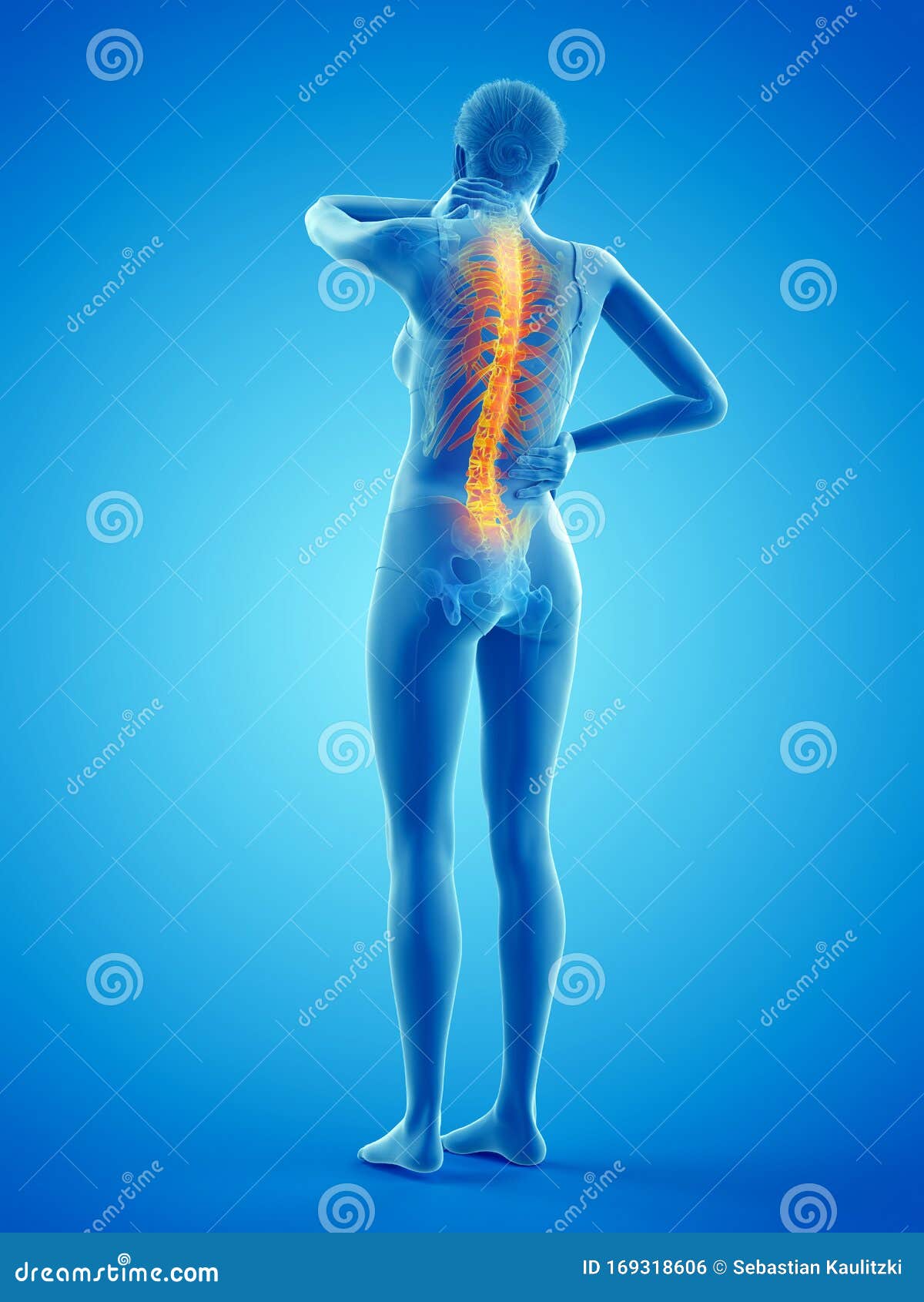 A woman having a backache stock illustration. Illustration of hurt ...