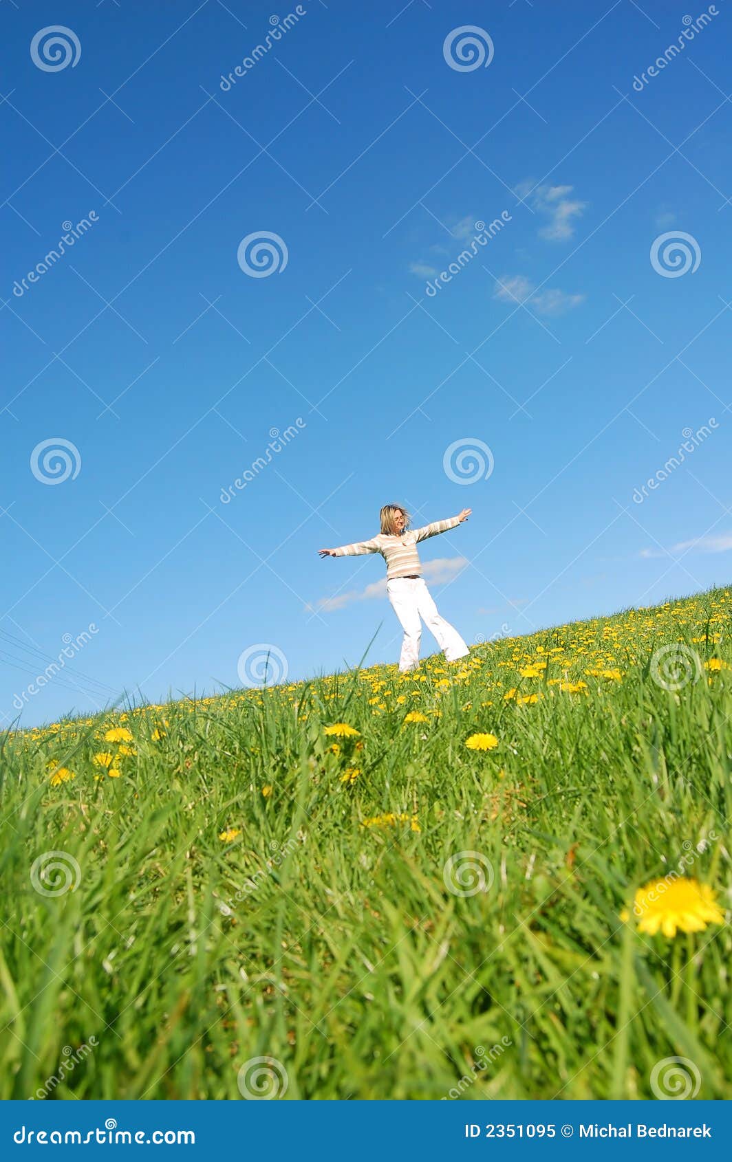 Woman Having Fun on Spring Mea Stock Image - Image of middleaged ...