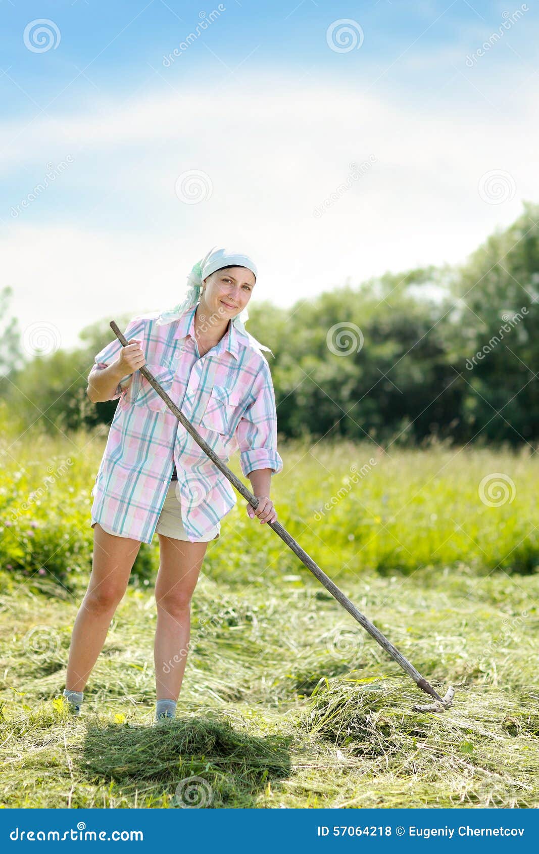 Woman on a haymaking stock photo. Image of country, agricultural - 57064218