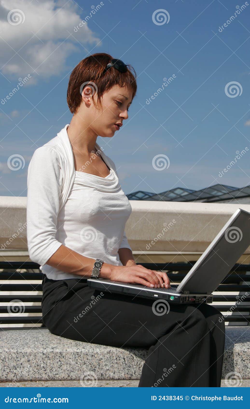 Woman and her computer stock image. Image of businesswoman - 2438345