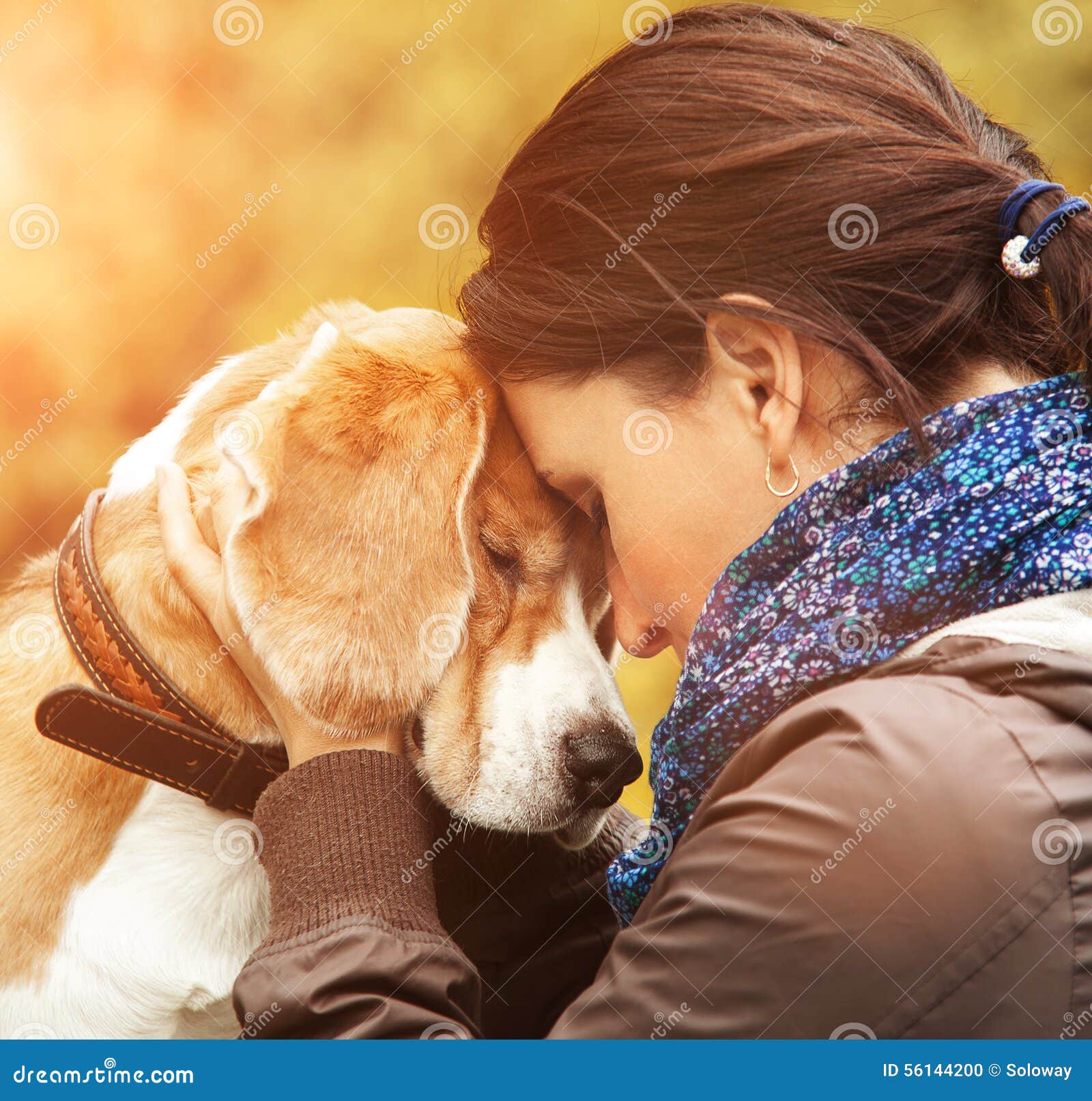 Woman with Her Dog Tender Scene Stock Photo - Image of female, person ...