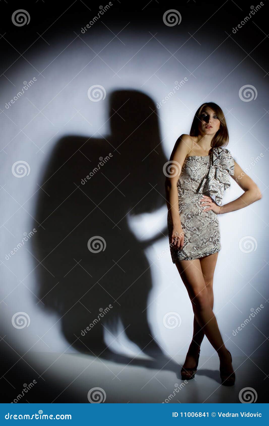 Woman and her shadow stock image. Image of caucasian - 11006841