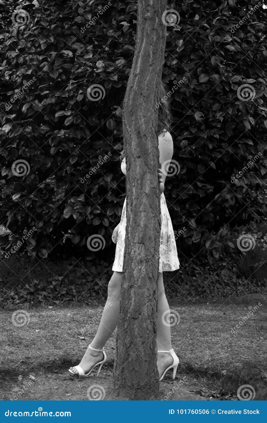 Woman hides behind a tree stock photo. Image of garden - 101760506