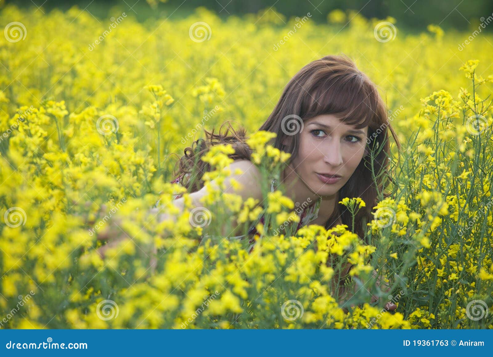 Woman hiding in field stock image. Image of nature, grass - 19361763