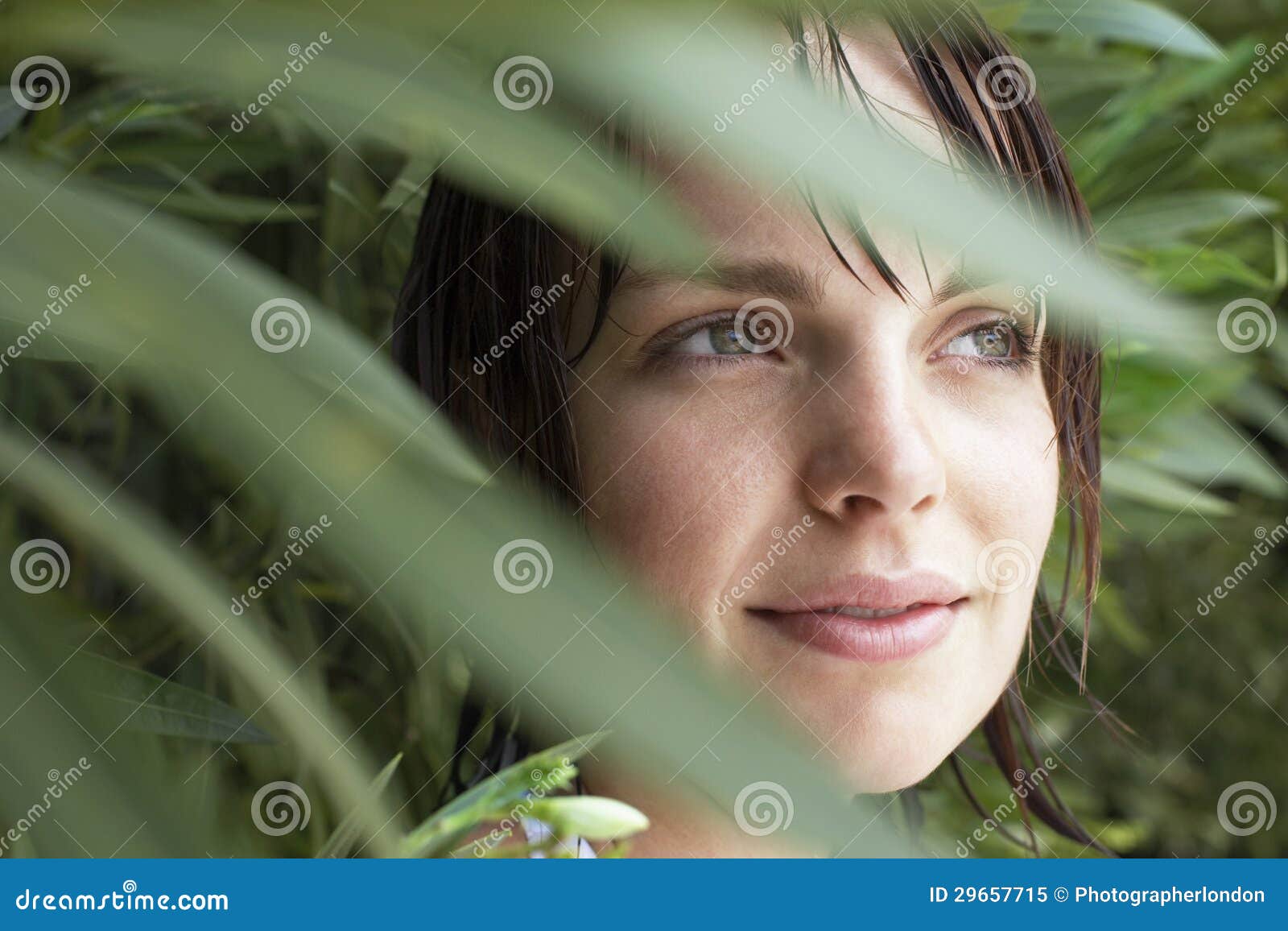 Woman Hiding in Foliage stock image. Image of looking - 29657715